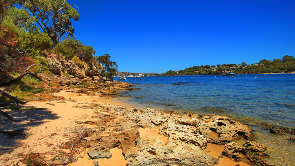 Guildford - Kings Park Warriors