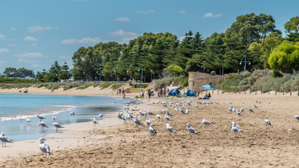 Rockingham - Kings Park Warriors